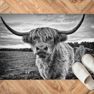 Scottish Highland Cattle Photo Rugs, Animal Rugs, Accent Rugs, Wildlife ...