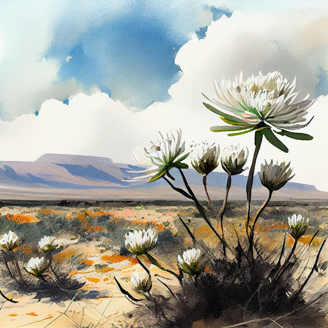 White Protea Field - Flower Art Print - Botanical Watercolors ...