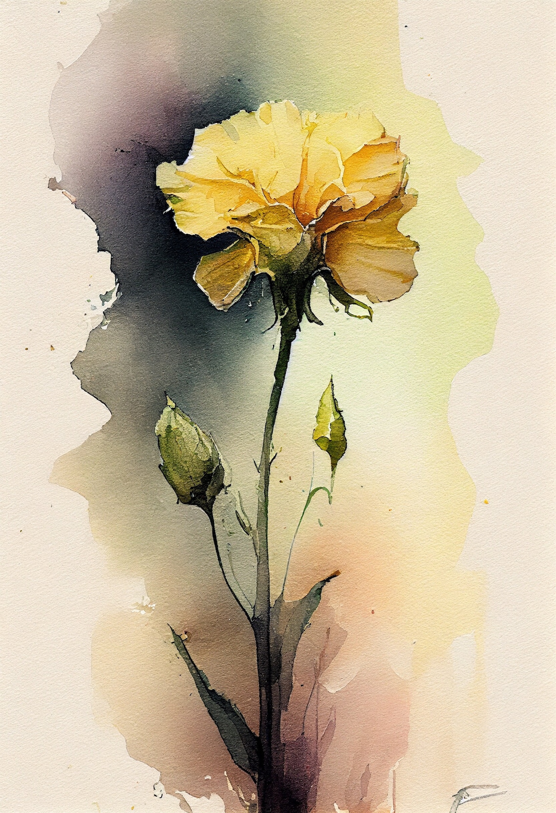 Yellow Carnation Flower Art Print Botanical Watercolors Illustration ...