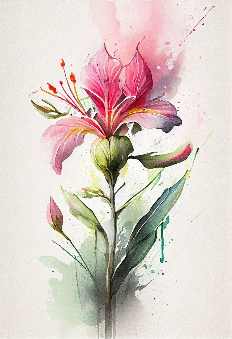 Pink Alstroemeria - Flower Art Print - Botanical Watercolors ...