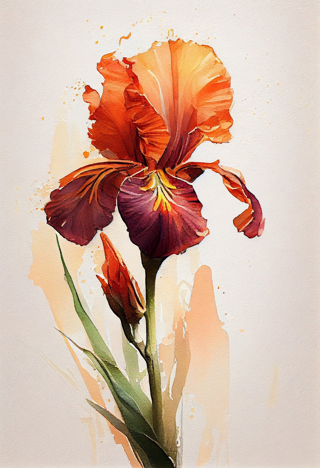 Orange Iris - Flower Art Print - Botanical Watercolors Illustration ...