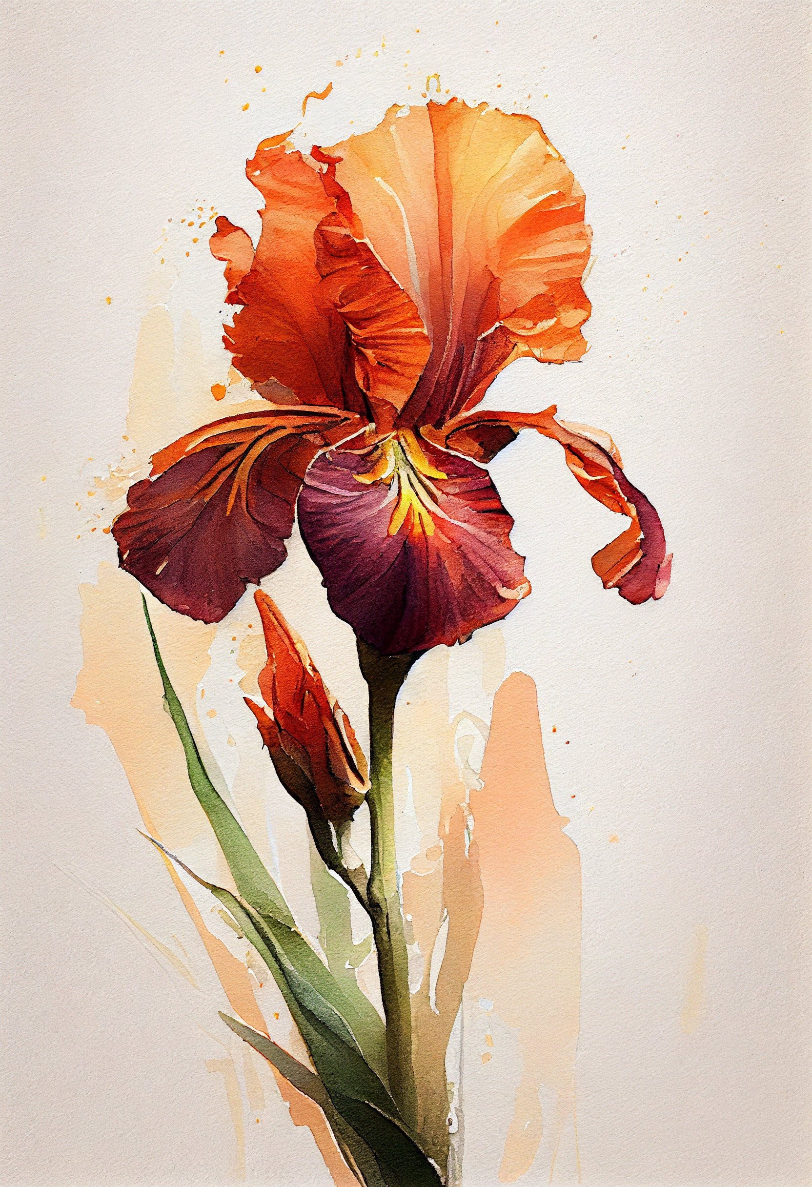 Orange Iris - Flower Art Print - Botanical Watercolors Illustration - Instant Digital Download ...