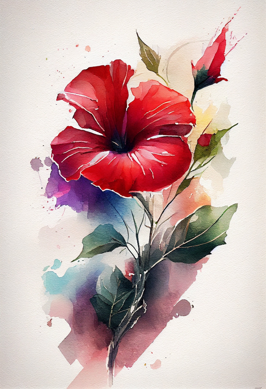 Red Morning Glory - Flower Art Print - Botanical Watercolors ...