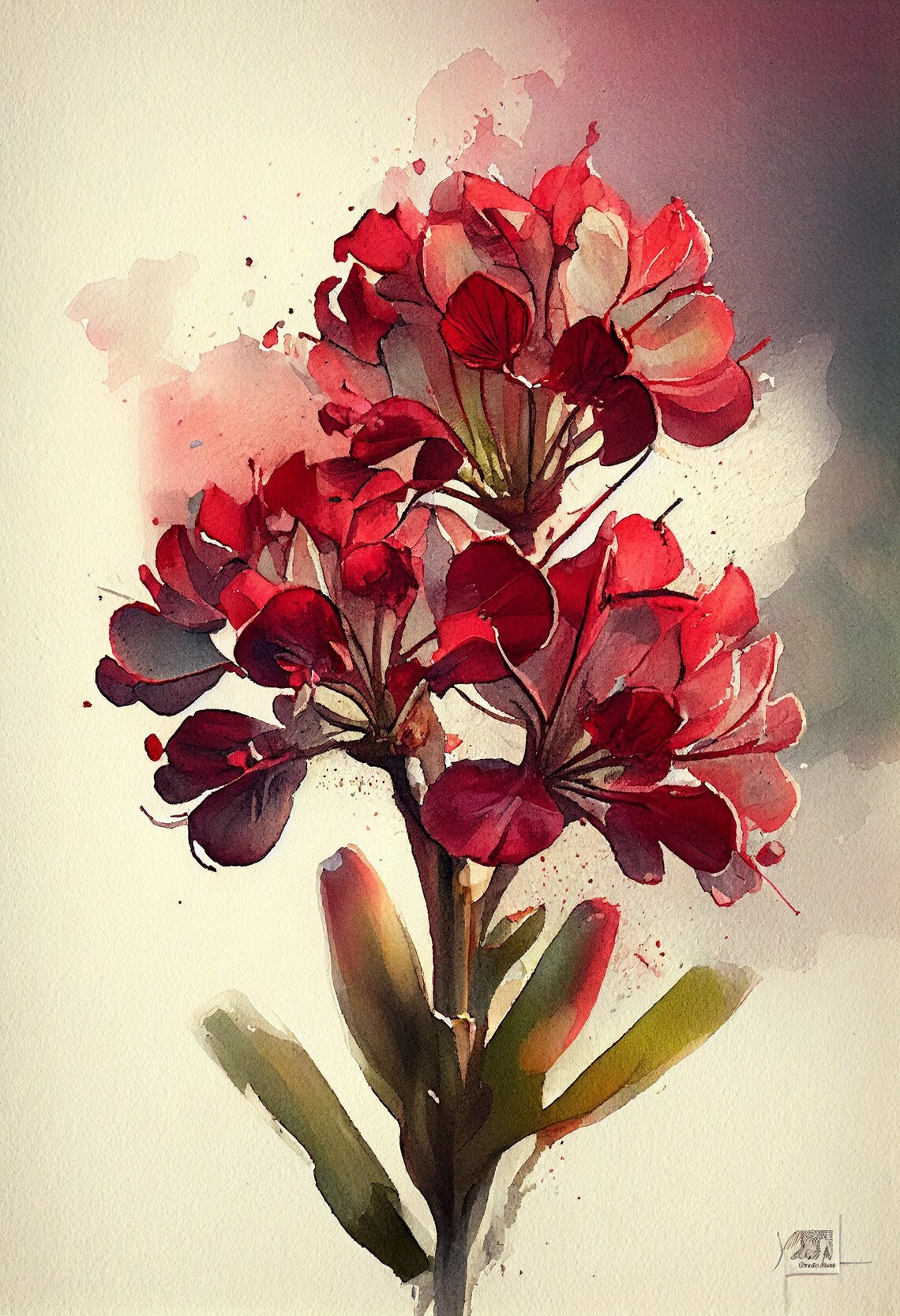 Red Bouvardia - Flower Art Print - Botanical Watercolors Illustration ...