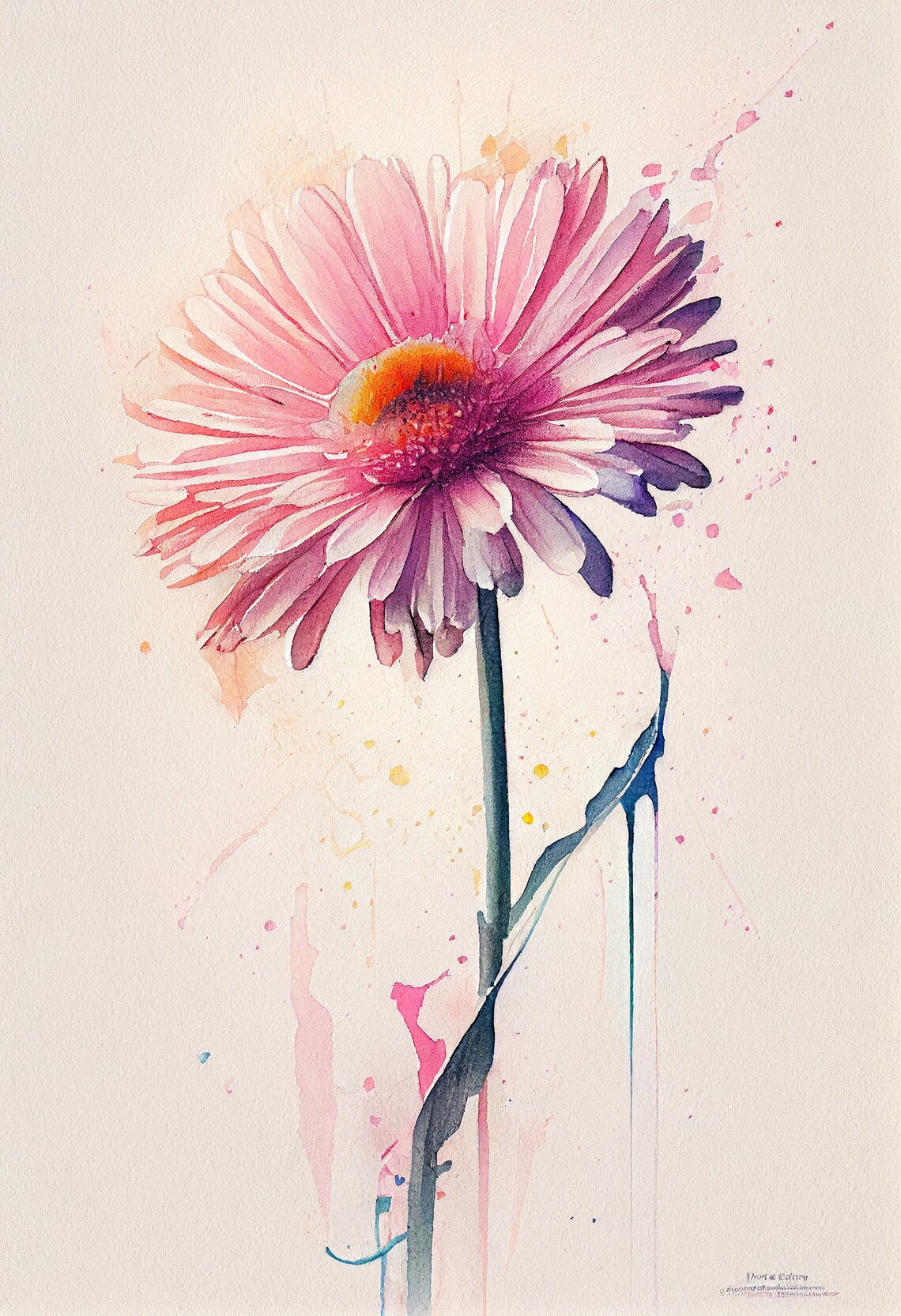 Pink Daisy - Flower Art Print - Botanical Watercolors Illustration ...