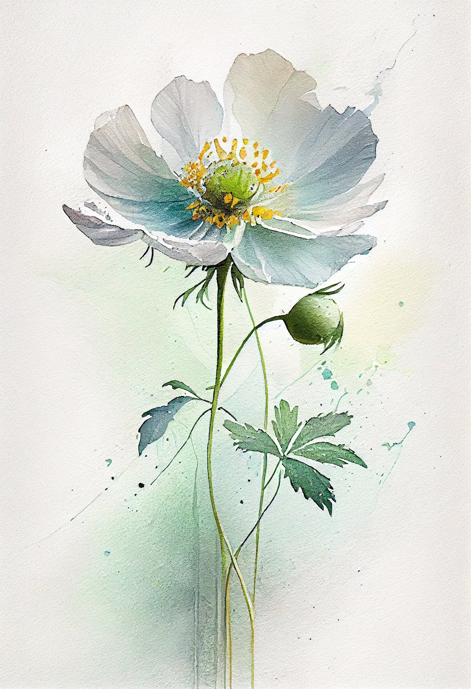 White Anemone - Flower Art Print - Botanical Watercolors Illustration ...