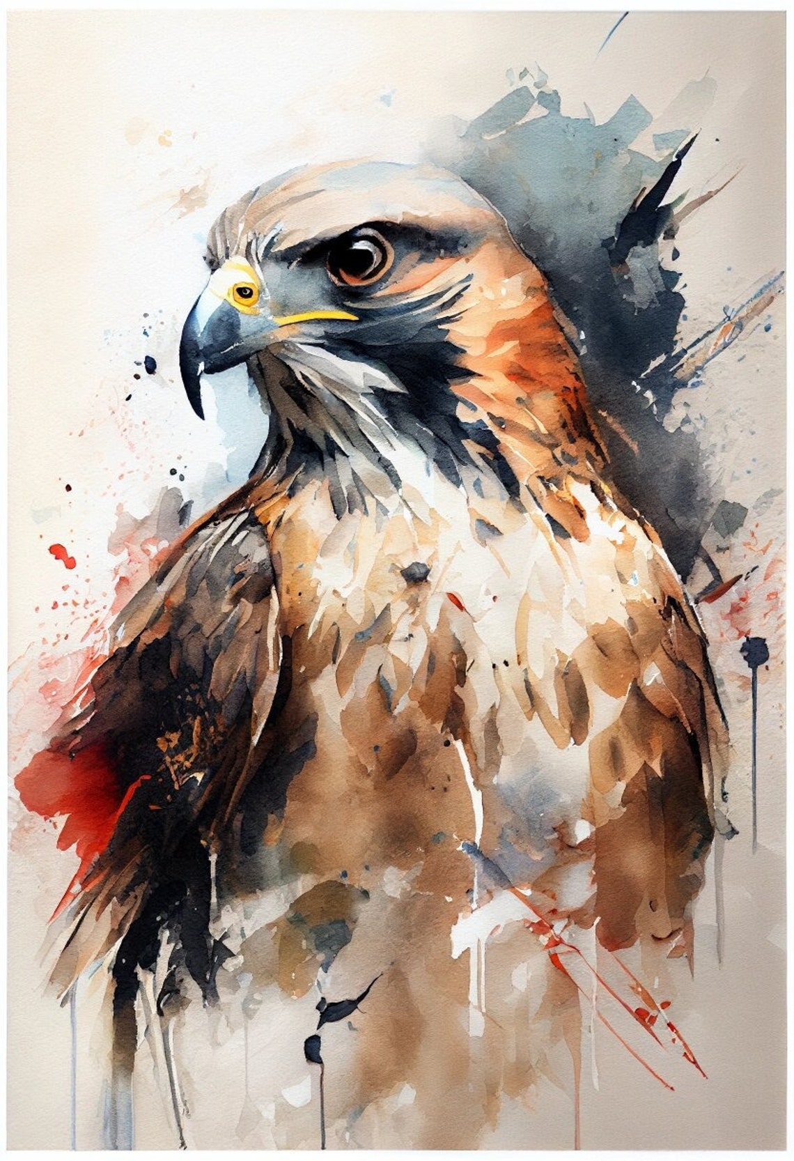 Falcon - Bird Art Print - Avian Watercolors Illustration - Nature ...