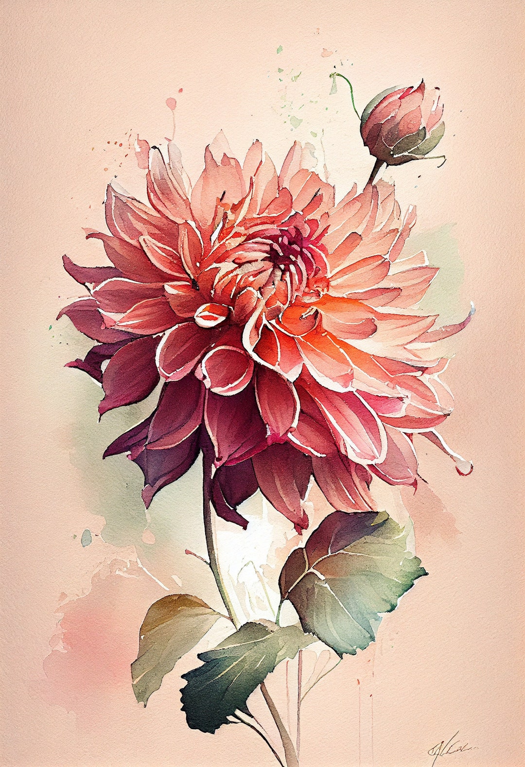 Pink Dahlia - Flower Art Print - Botanical Watercolors Illustration ...