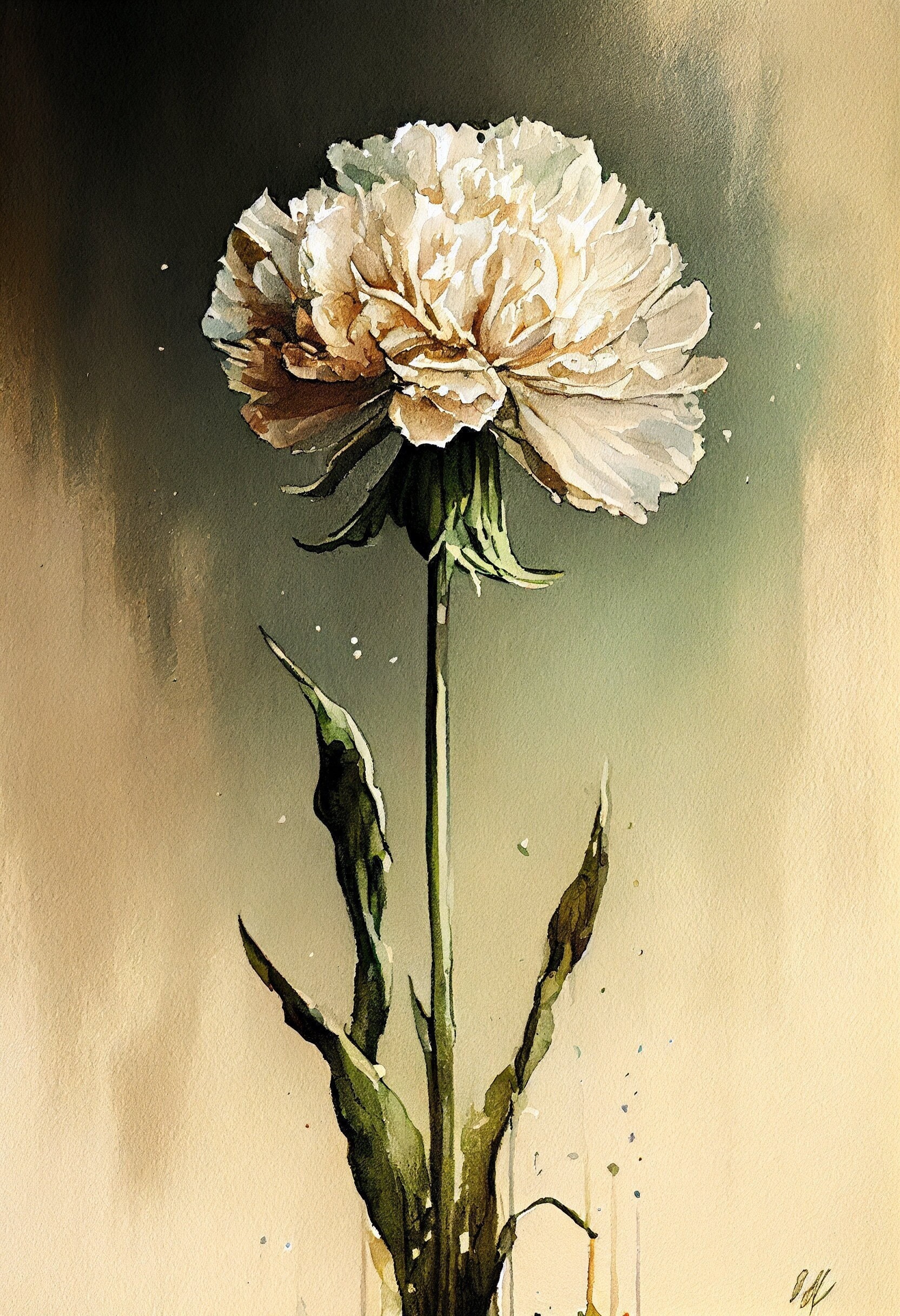 White Carnation - Flower Art Print - Botanical Watercolors Illustration ...