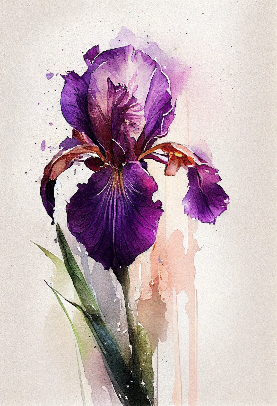 Purple Iris - Flower Art Print - Botanical Watercolors Illustration ...