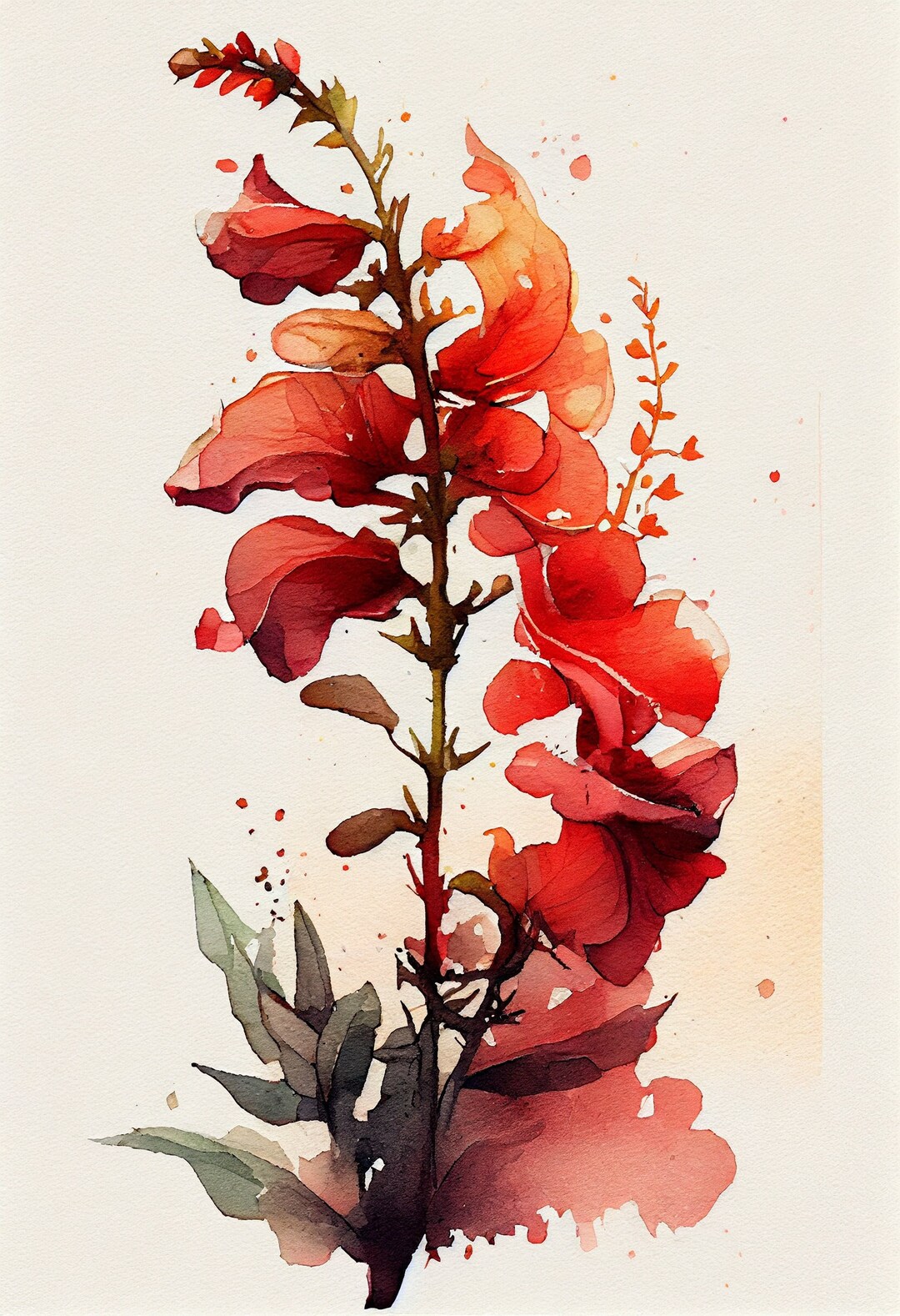 Red Snapdragon - Flower Art Print - Botanical Watercolors Illustration ...