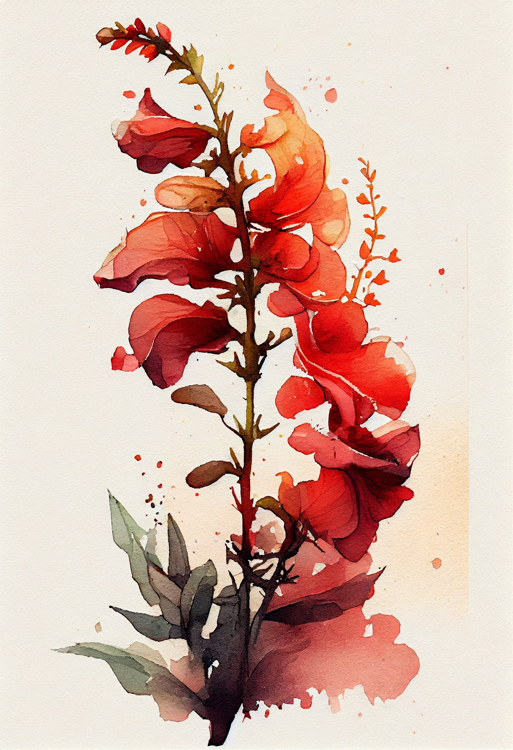 Red Snapdragon - Flower Art Print - Botanical Watercolors Illustration ...