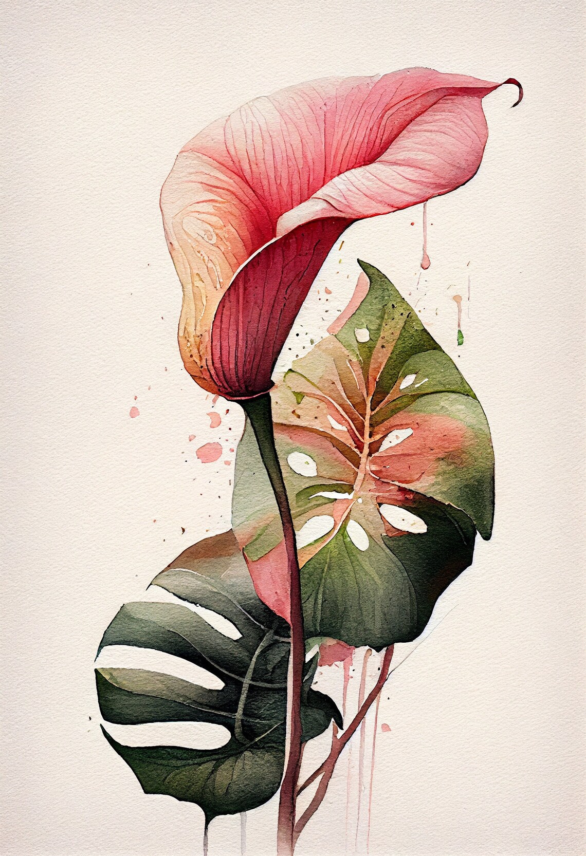 Pink Anthurium - Flower Art Print - Botanical Watercolors Illustration ...