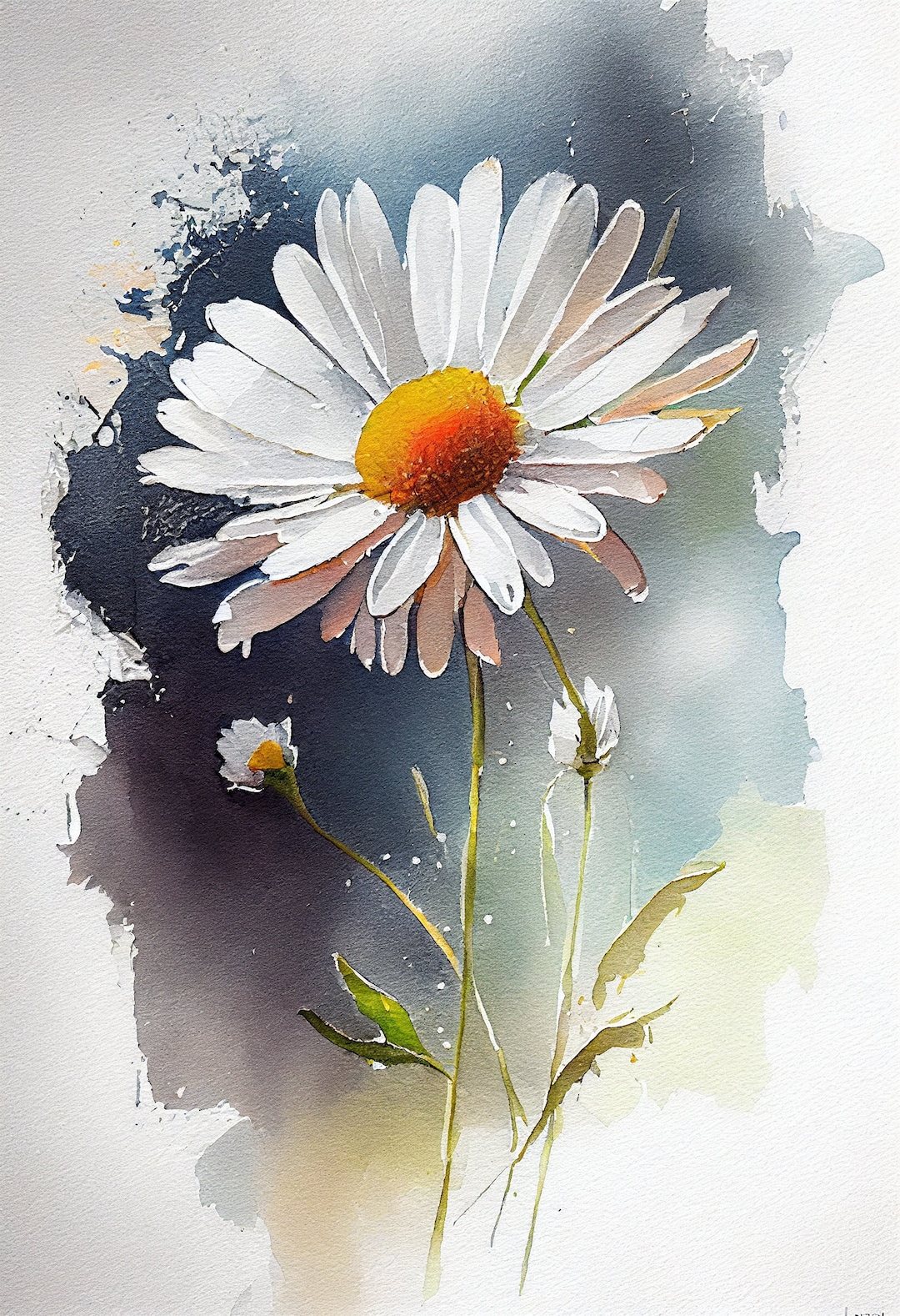 White Daisy - Flower Art Print - Botanical Watercolors Illustration ...