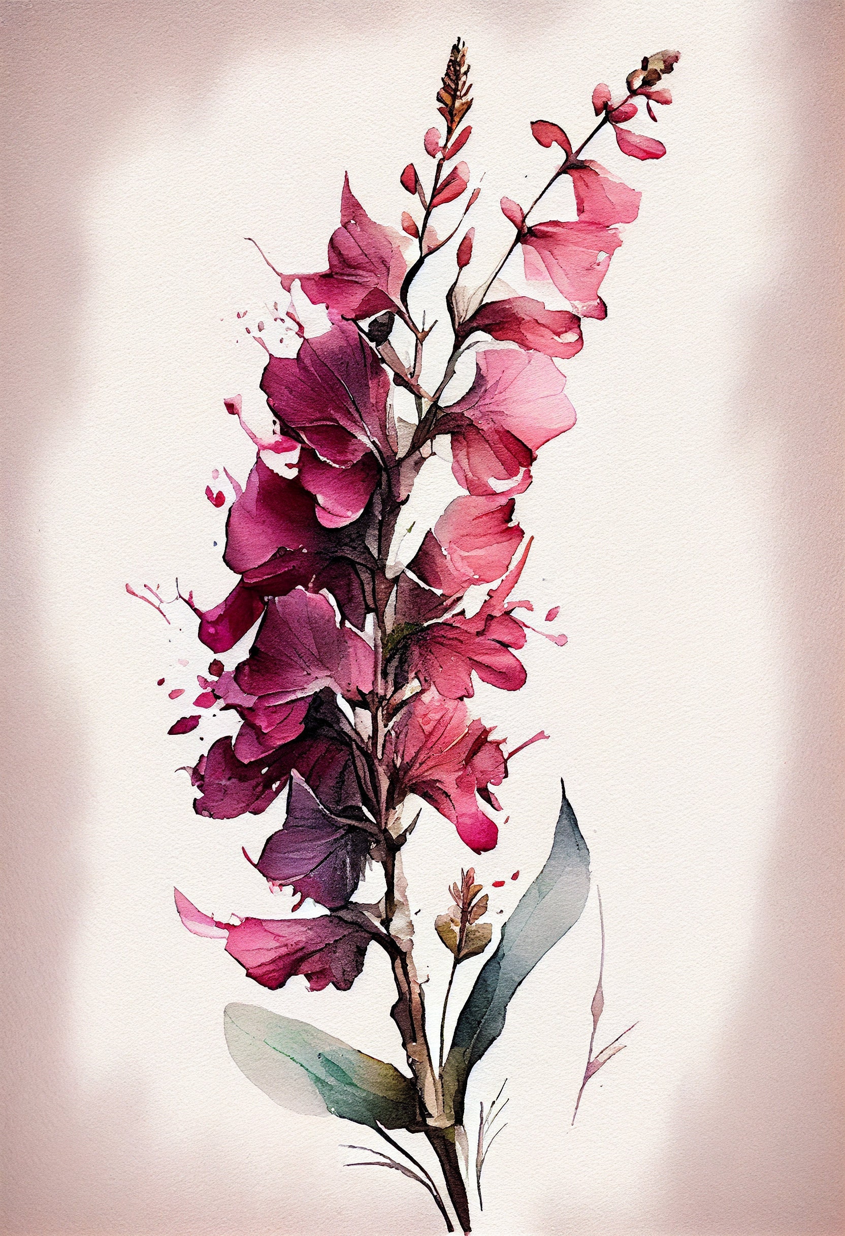 Pink Snapdragon Flower Art Print Botanical Watercolors Illustration ...