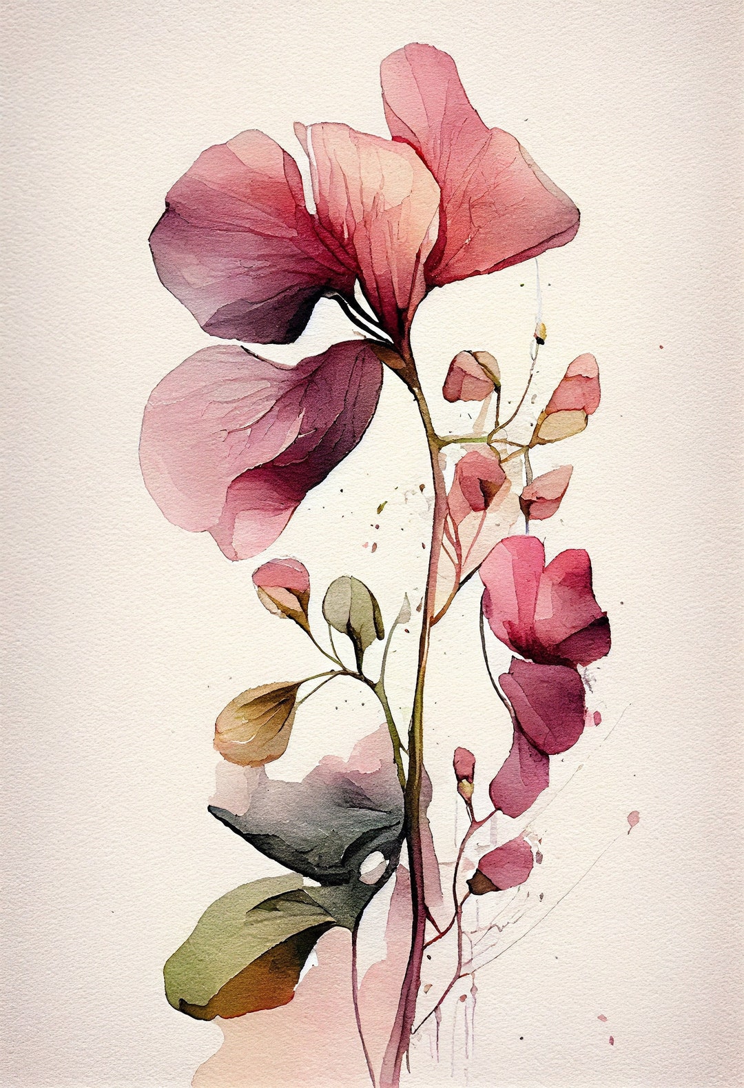 Pink Sweet Pea - Flower Art Print - Botanical Watercolors Illustration ...