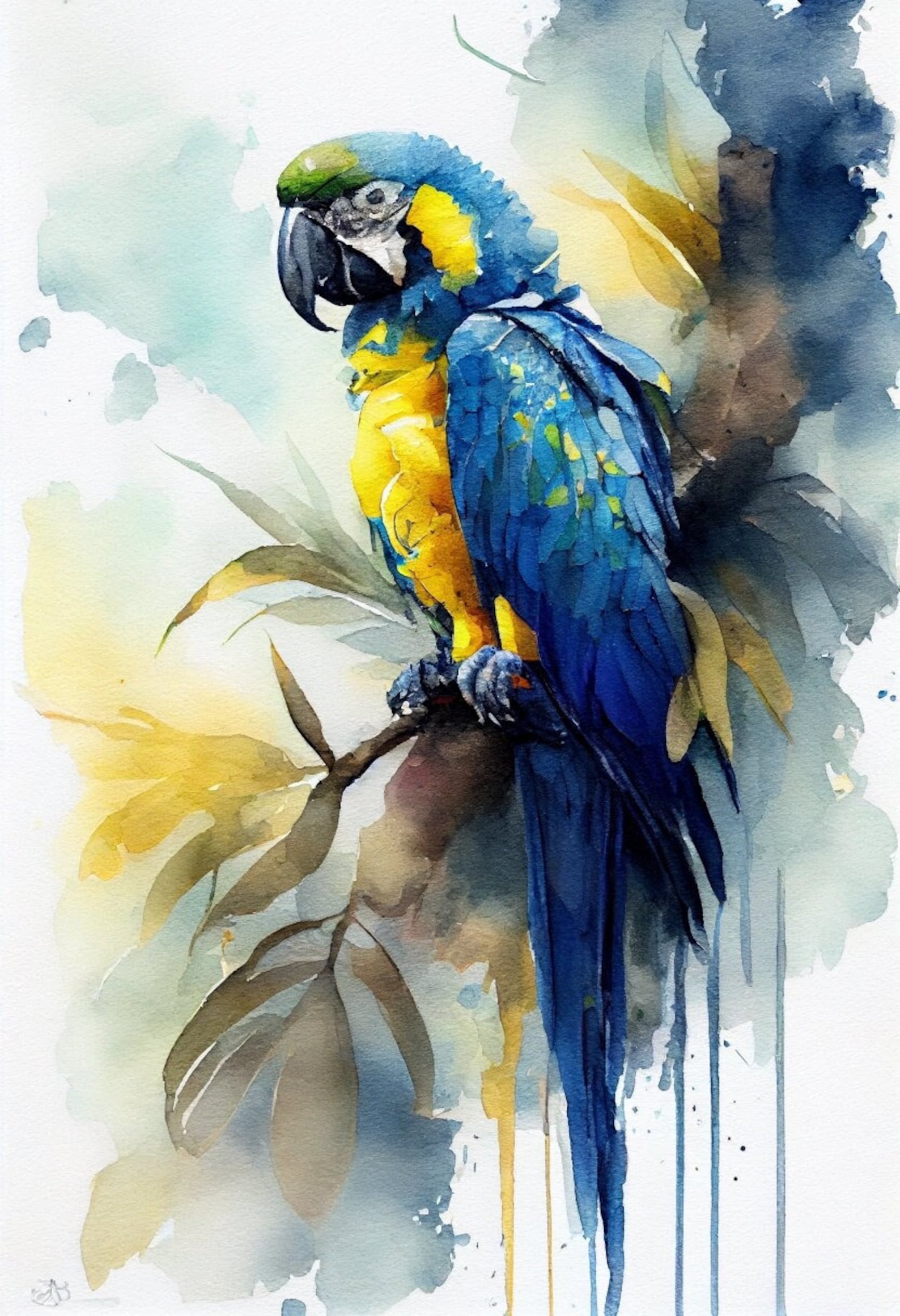 Hyacinth Macaw - Bird Art Print - Avian Watercolors Illustration ...