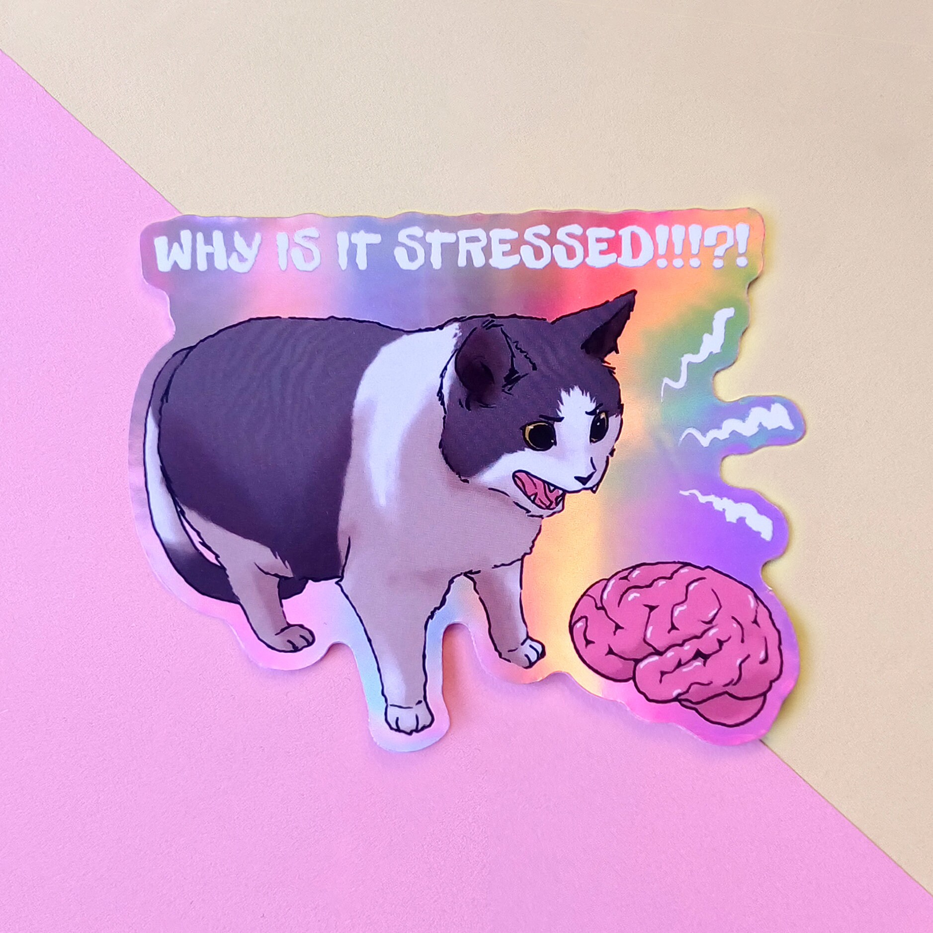 Holographic Cat Meme Sticker Why is It Empty Mental Health Sad Stressed ...
