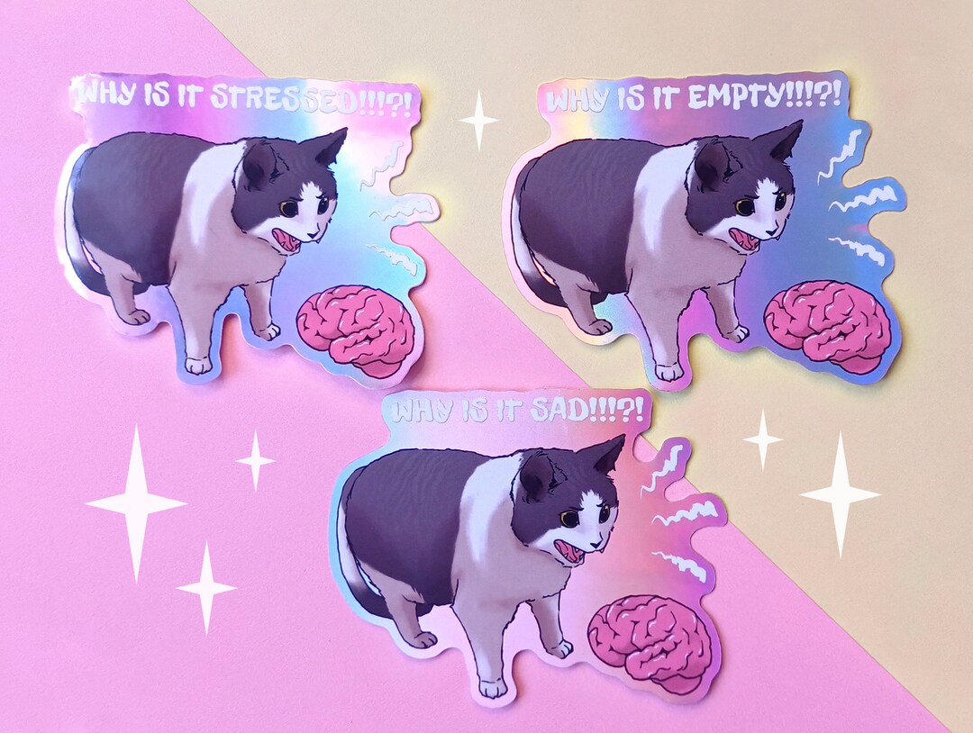 Holographic Cat Meme Sticker | Why is It Empty | Mental Health | Sad ...