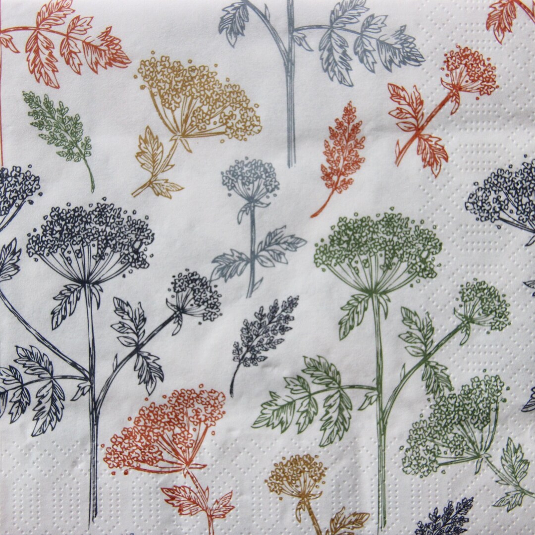 Cow Parsnip Paper Napkins, Sketched Floral Decoupage, Scandinavian ...