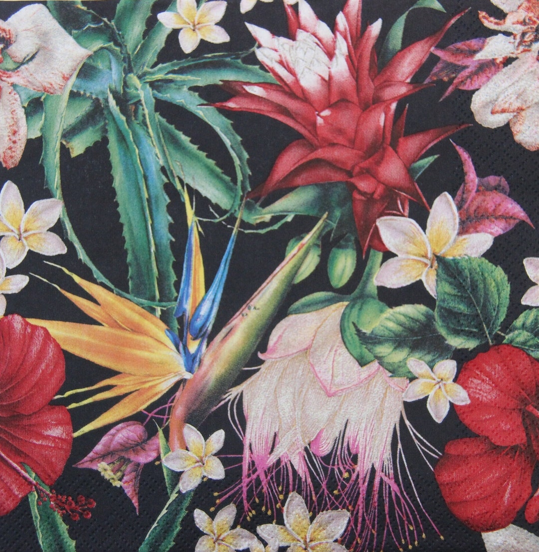 Tropical Floral Paper Napkins, Strelitzia & Bromeliads, Black ...