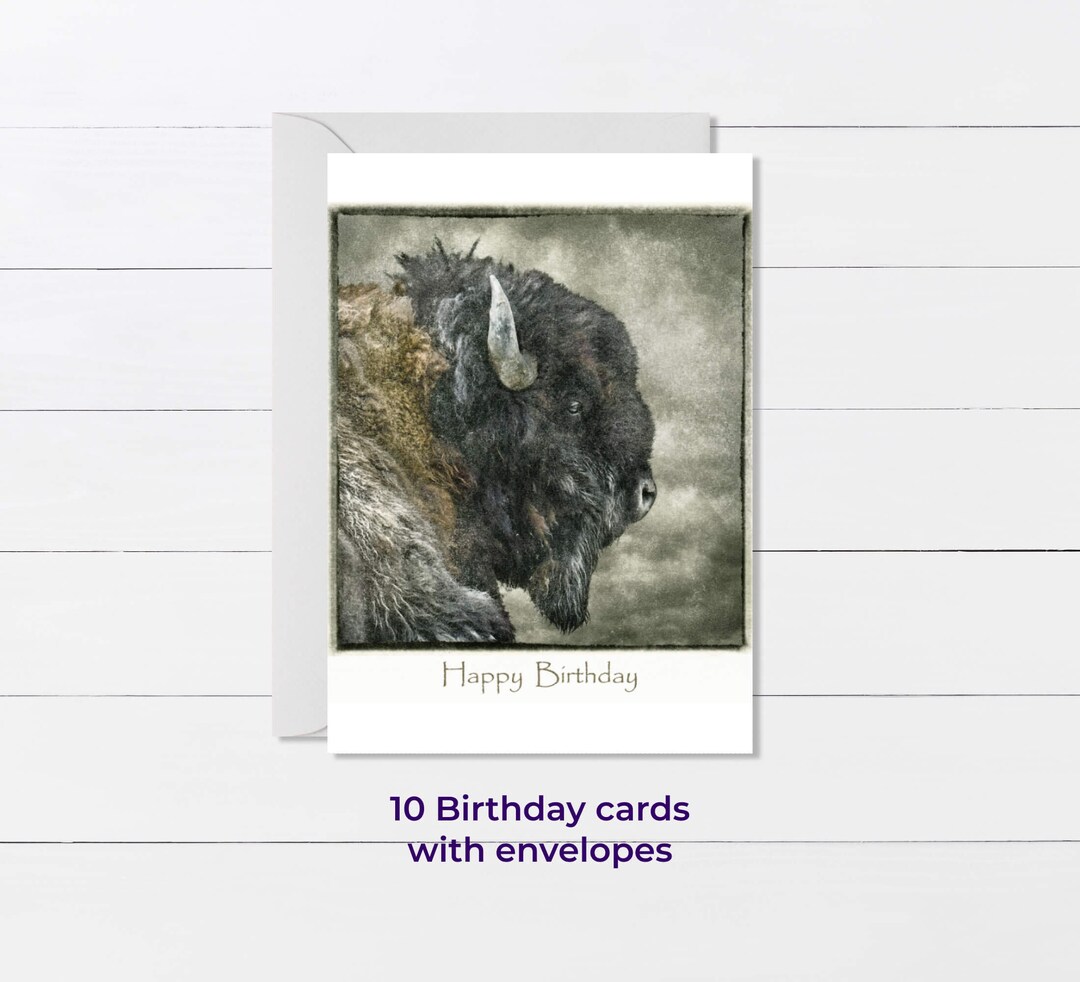 Buffalo Birthday Card. Pack of 10 Cards Made From a - Etsy