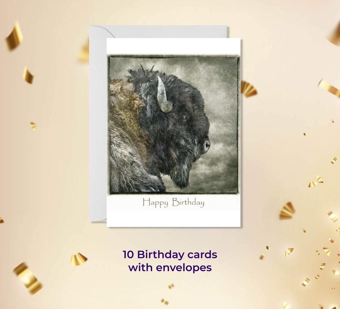 Buffalo Birthday Card. Pack of 10 Cards Made From a Photographic Image ...
