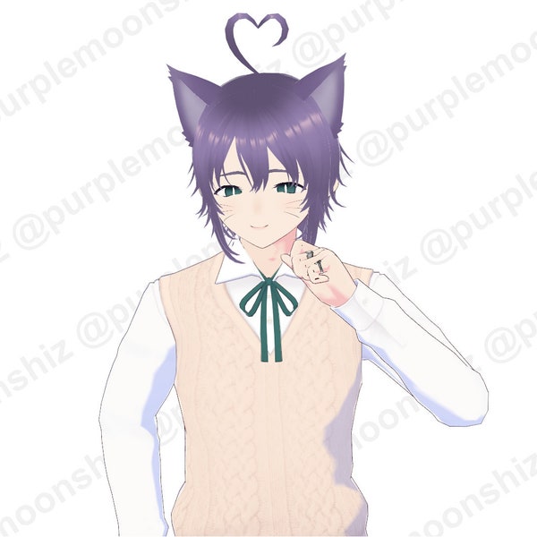 Vtuber Model Male - Etsy