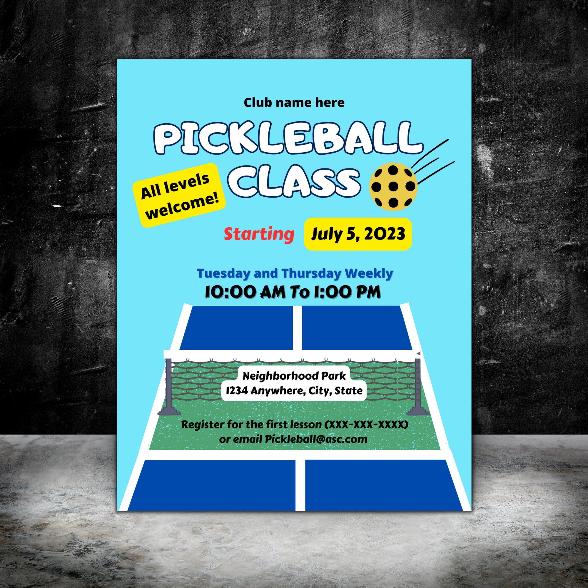 Pickleball Class Flyer, Pickle Ball Lessons, Pickle Ball Digital Flier ...
