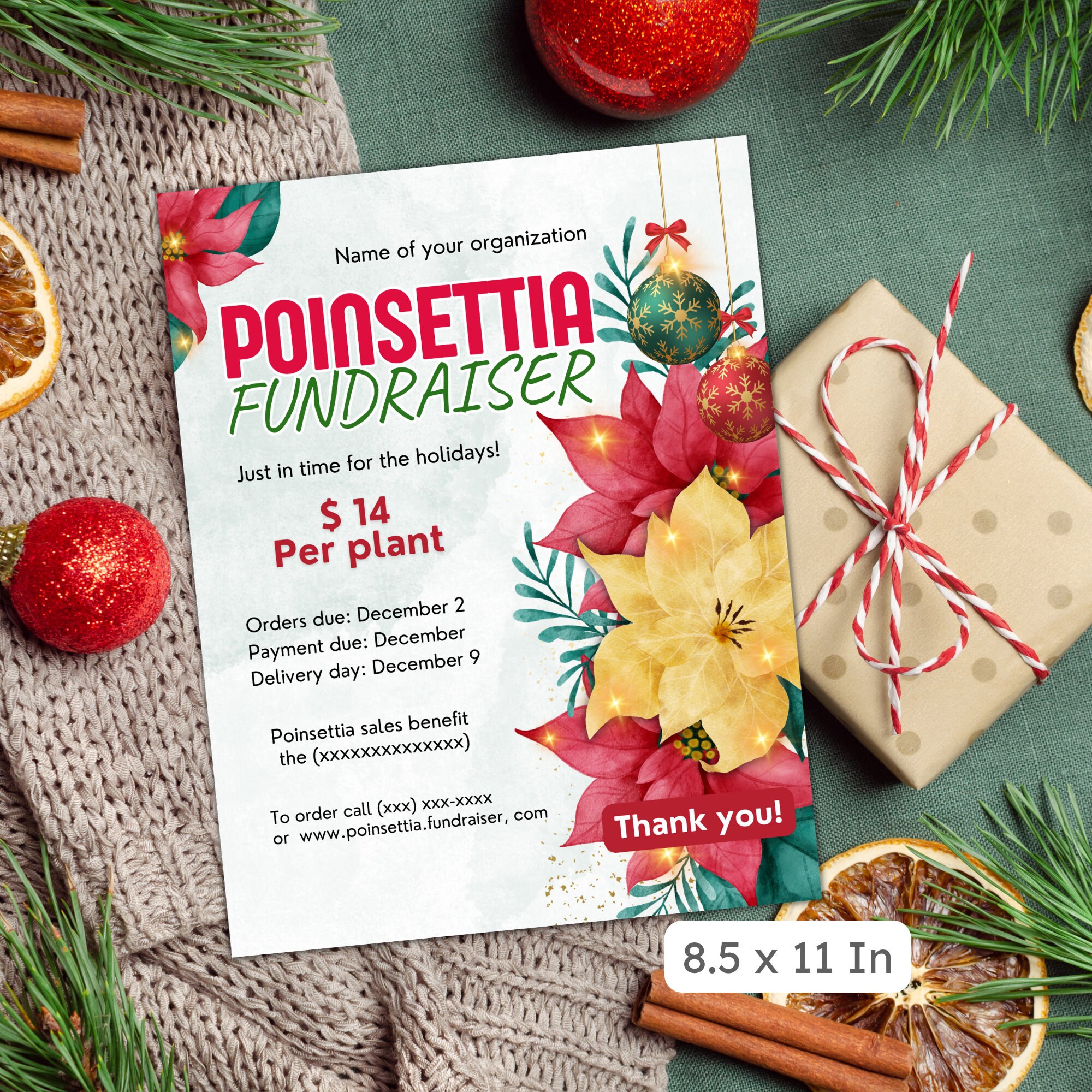 Poinsettia Fundraiser Flyer, Christmas Flowers, Plant Flower Sale ...