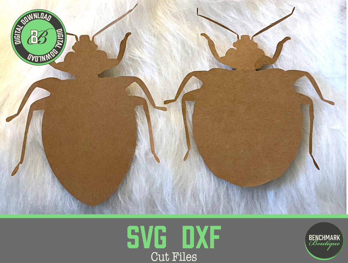Svg Bug Bundle Male Female Bed Bug Model Svg 3d Insect Cut File Bed Bug ...