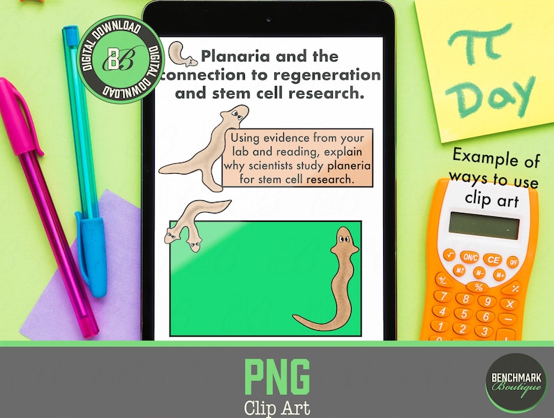 Planaria Clip Art Png Cute Worm Clip Art Illustrations Biology Clip Art ...
