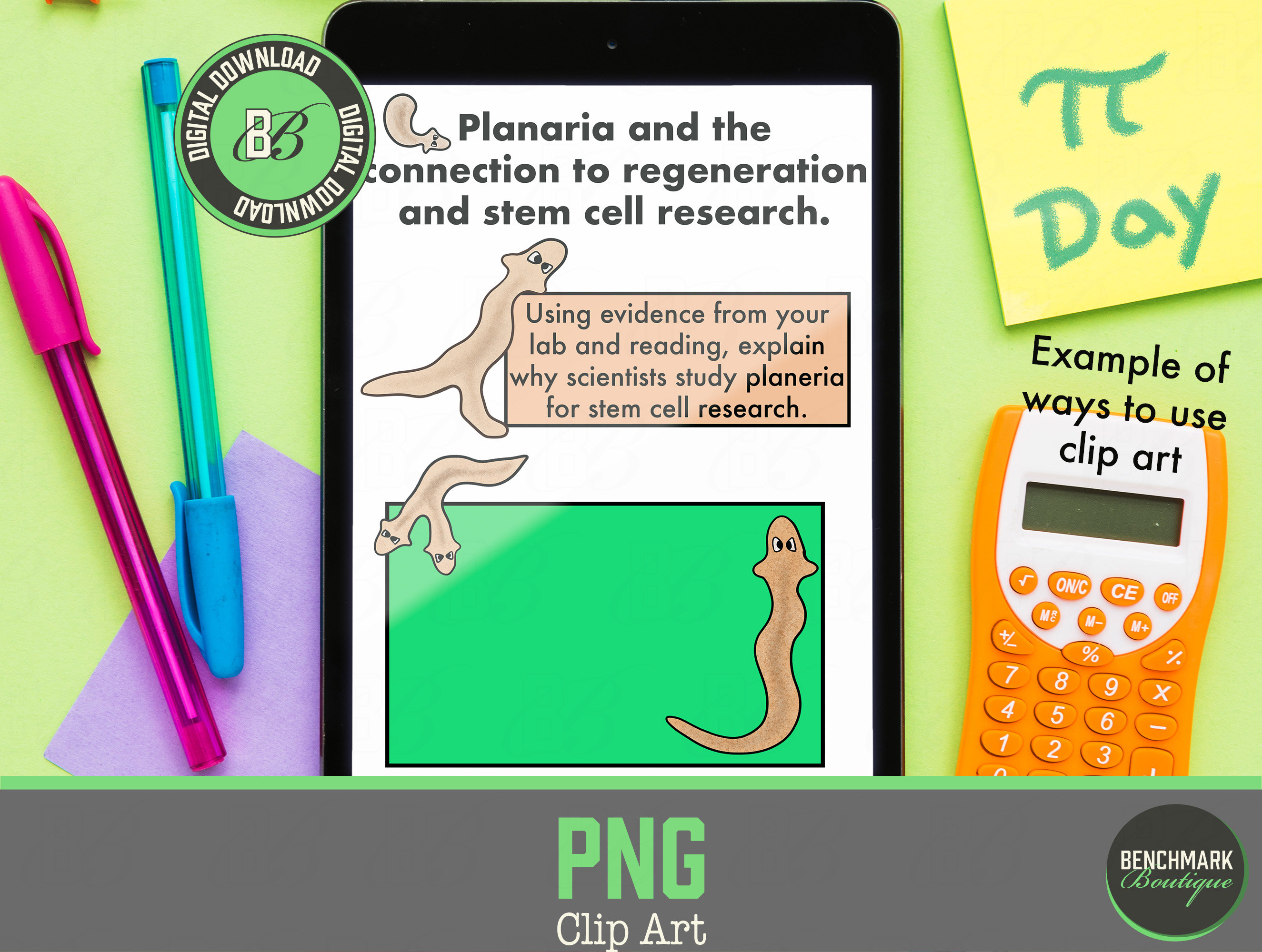 Planaria Clip Art Png Cute Worm Clip Art Illustrations Biology Clip Art ...