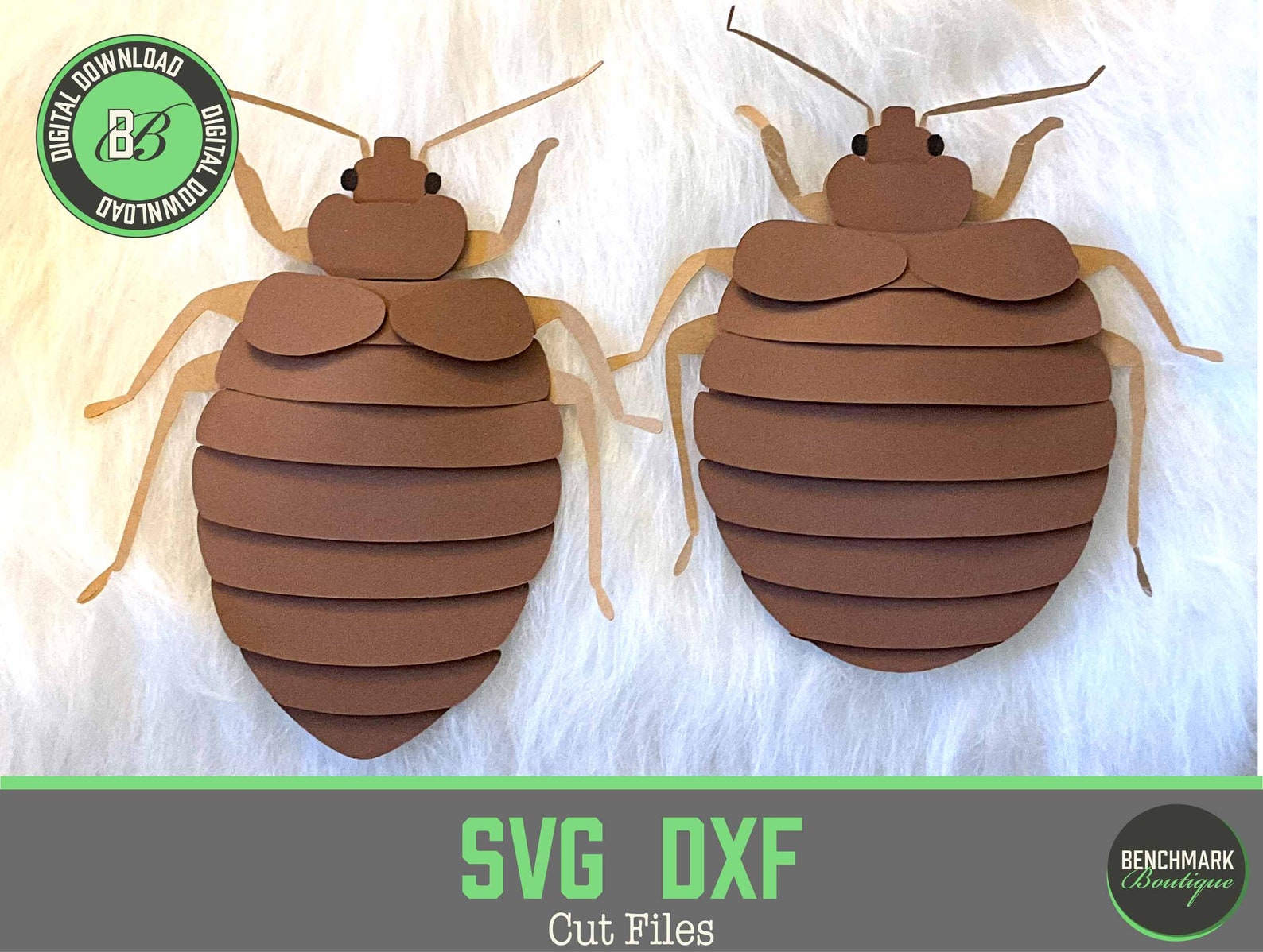 Svg Bug Bundle Male Female Bed Bug Model Svg 3d Insect Cut File Bed Bug ...