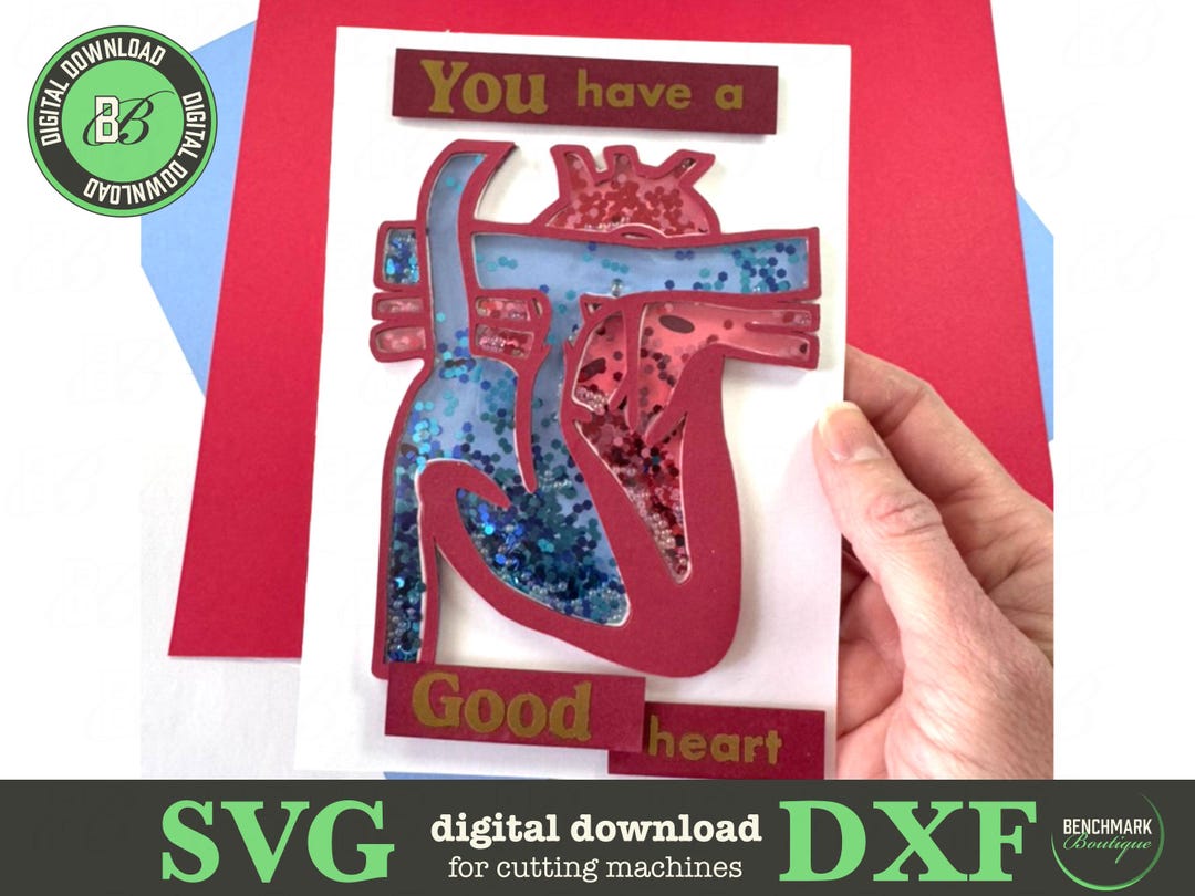 Anatomical Heart Shaker Card DIY Svg: Valentine Card and Medical Theme ...