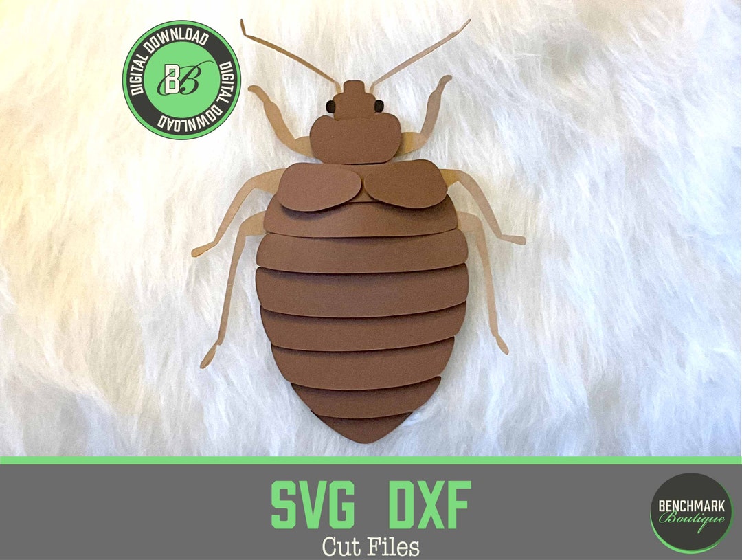Bug Svg Cut File Bed Bug 3D Svg Creepy Bug Cut File Svg Realistic Bug ...