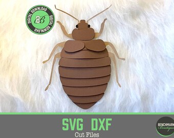 Printable Lab Safety Poster PNG Rooster and Chicks Wearing - Etsy