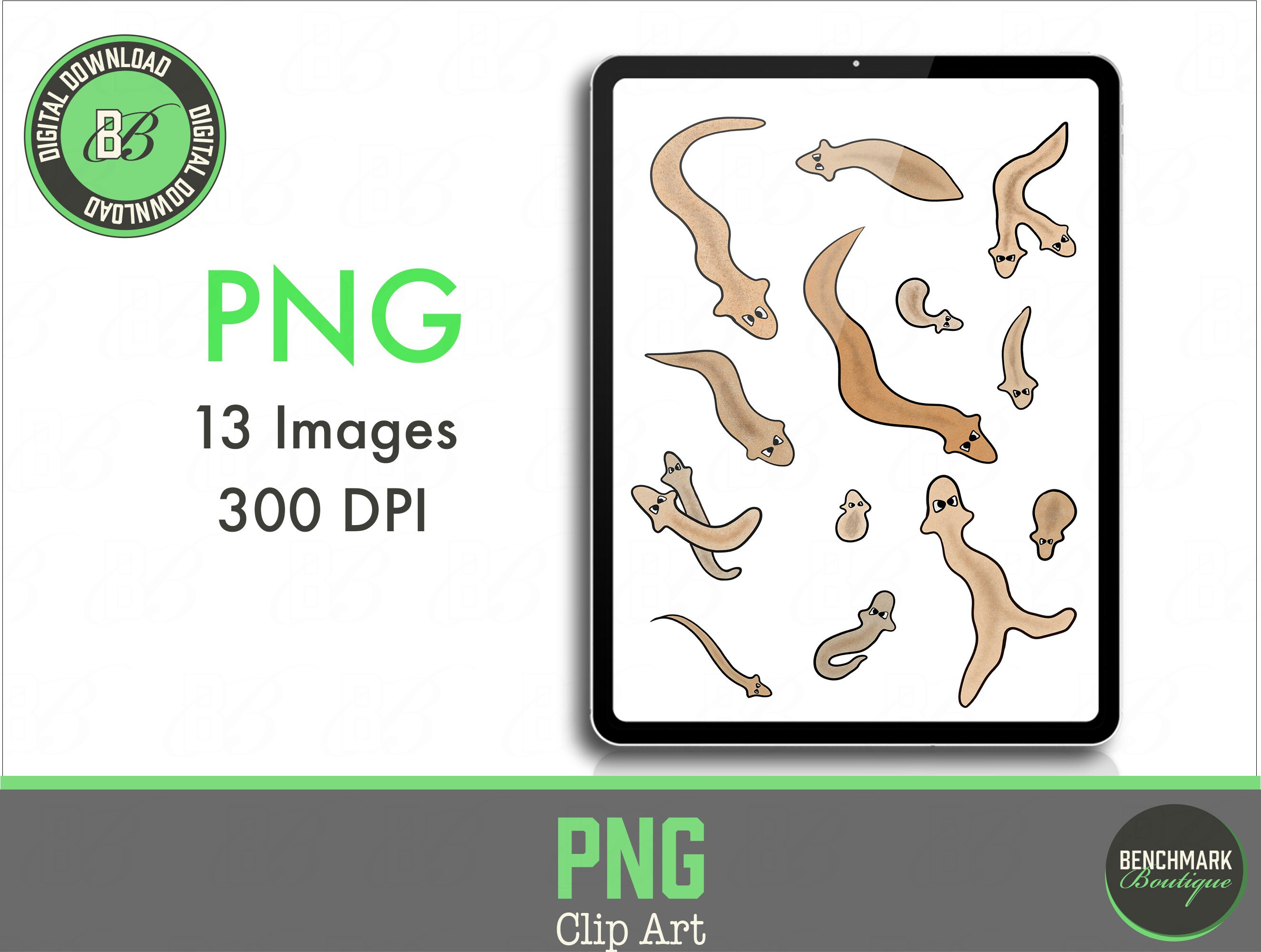 Planaria Clip Art Png Cute Worm Clip Art Illustrations Biology Clip Art ...