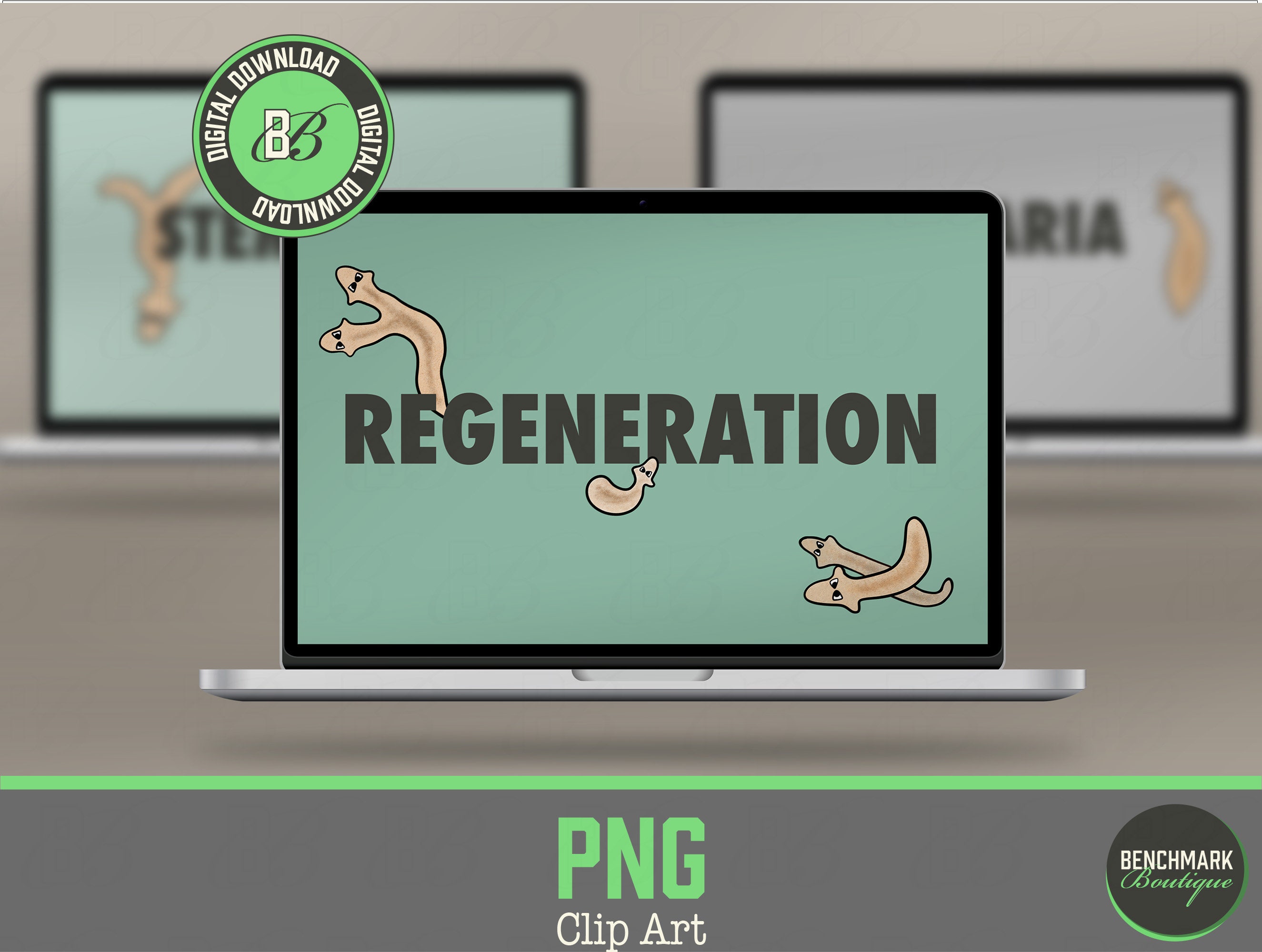 Planaria Clip Art Png Cute Worm Clip Art Illustrations Biology Clip Art ...