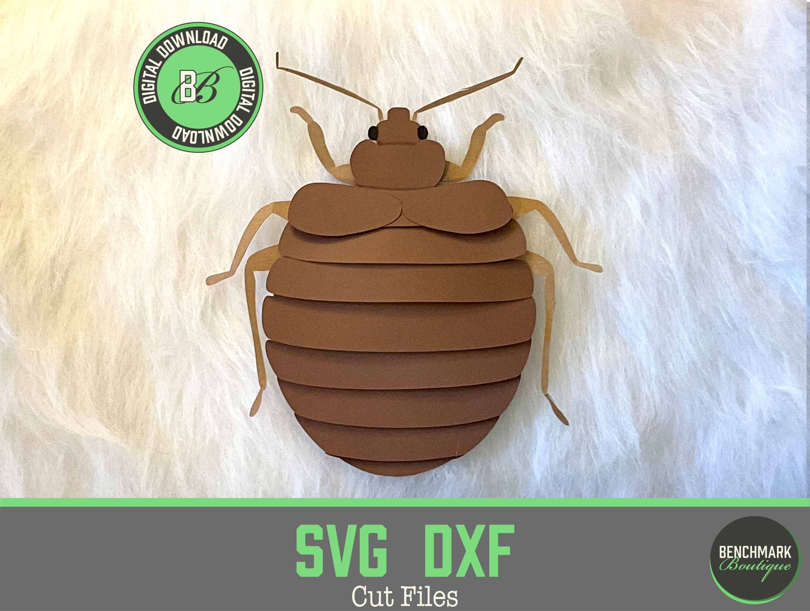 3D Bug Svg Bed Bug Model Paper Craft Cut File Insect Female Bed Bug Svg ...