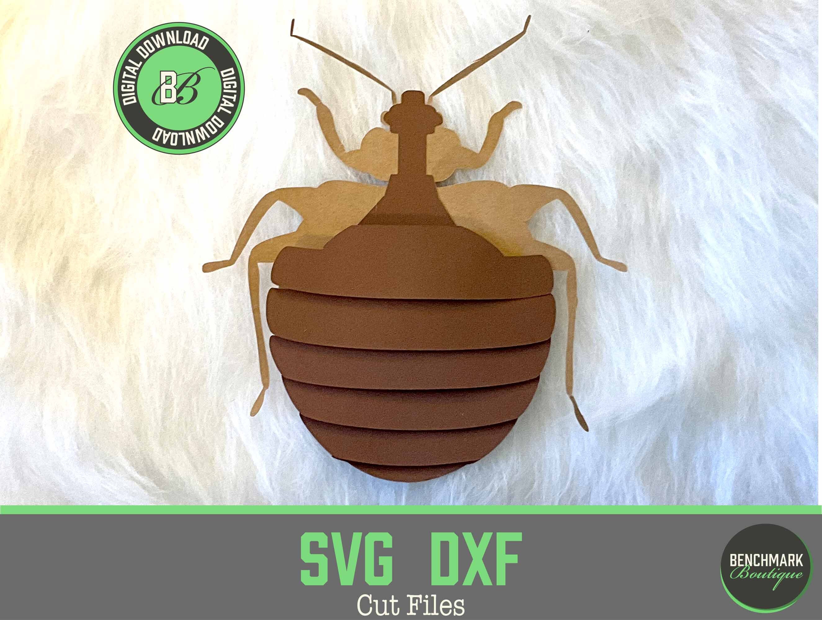 3D Bug Svg Bed Bug Model Paper Craft Cut File Insect Female Bed Bug Svg ...