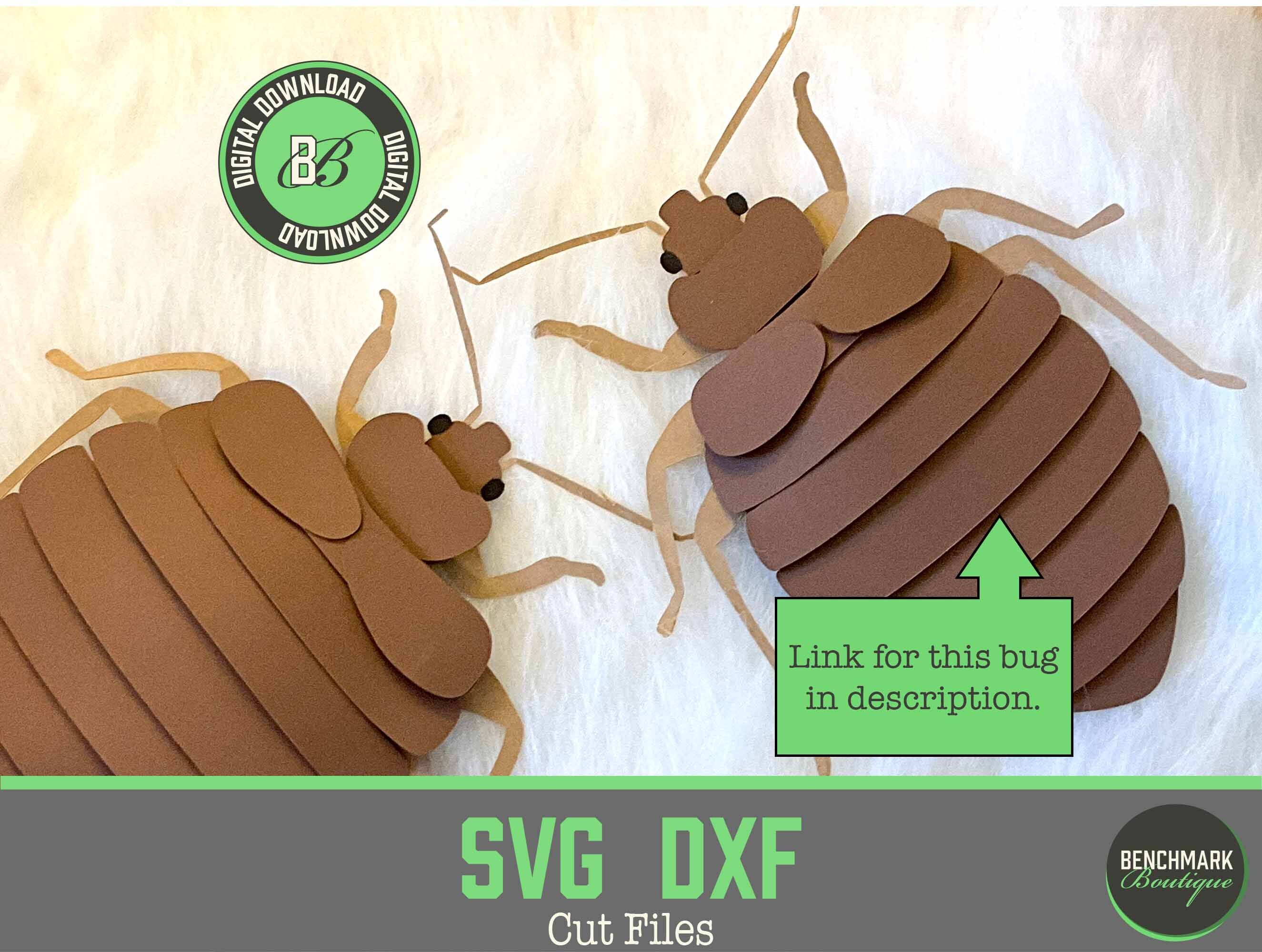 3D Bug Svg Bed Bug Model Paper Craft Cut File Insect Female Bed Bug Svg ...