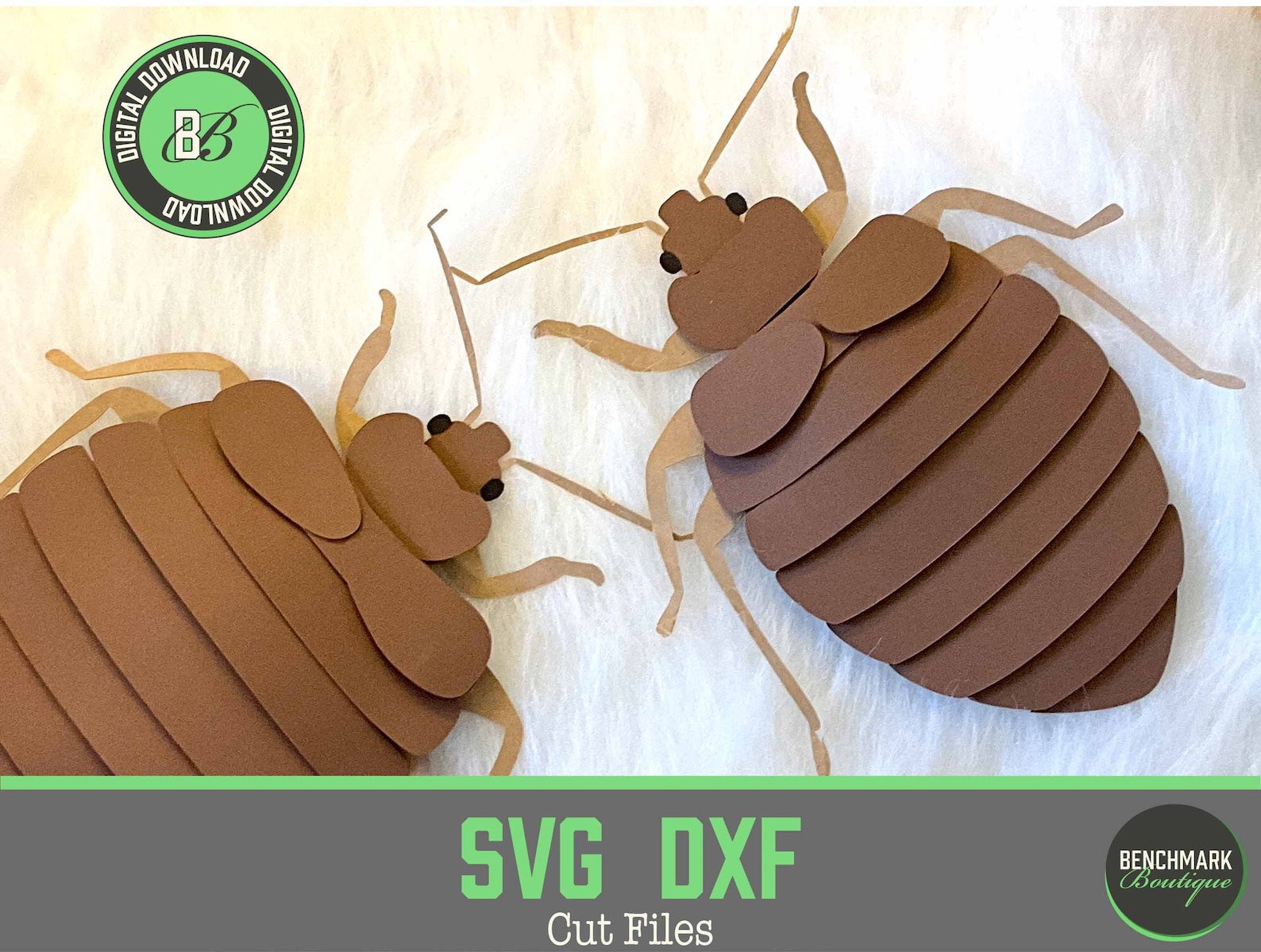Svg Bug Bundle Male Female Bed Bug Model Svg 3d Insect Cut File Bed Bug ...