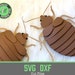 Svg Bug Bundle Male Female Bed Bug Model Svg 3d Insect Cut File Bed Bug ...