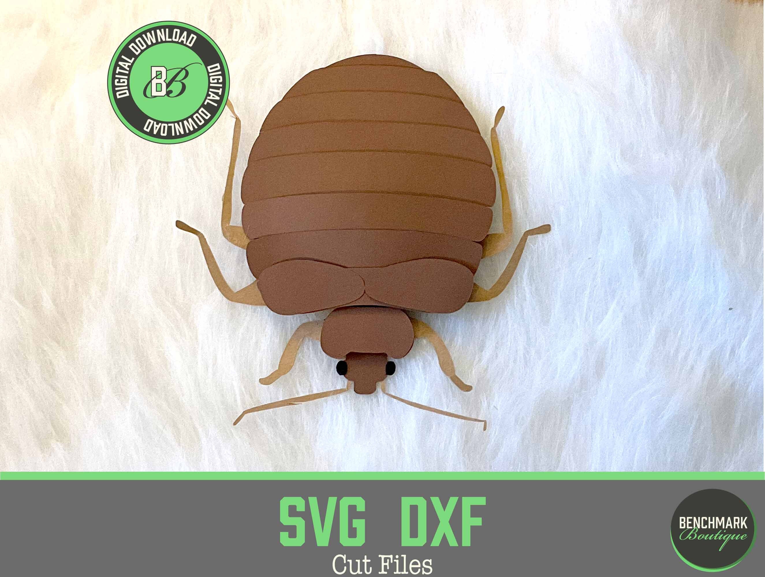3D Bug Svg Bed Bug Model Paper Craft Cut File Insect Female Bed Bug Svg ...