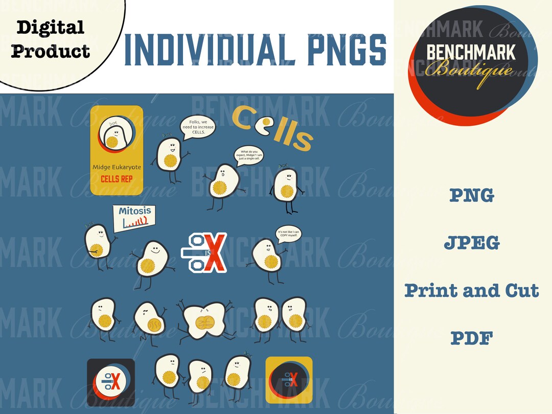 Mitosis Clip Art Png Cell Division Digital Sticker Mitosis Cartoon Jpeg ...