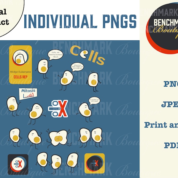 Cell Division Mitosis Clip Art - Etsy