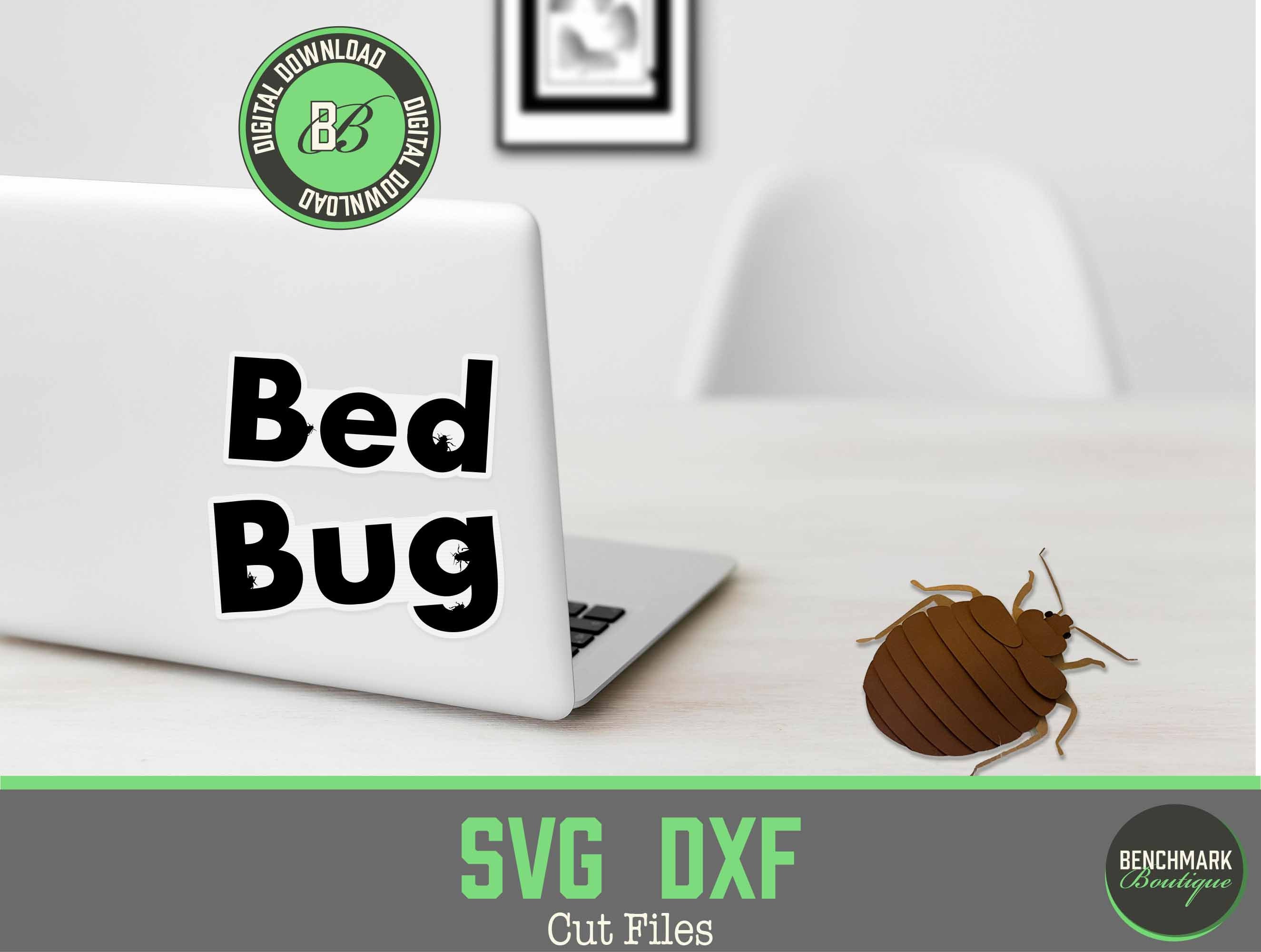 3D Bug Svg Bed Bug Model Paper Craft Cut File Insect Female Bed Bug Svg ...