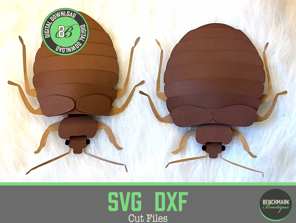 Svg Bug Bundle Male Female Bed Bug Model Svg 3d Insect Cut File Bed Bug ...