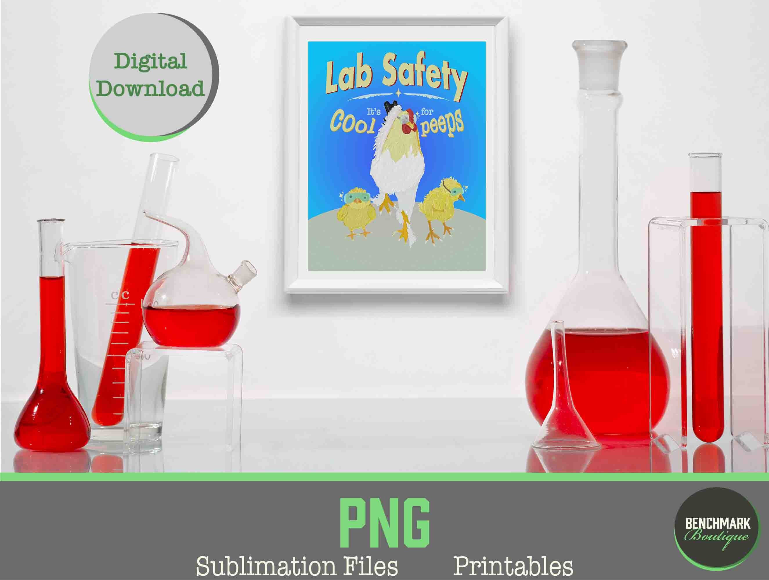 Printable Lab Safety Poster PNG Rooster and Chicks Wearing Goggles Lab ...